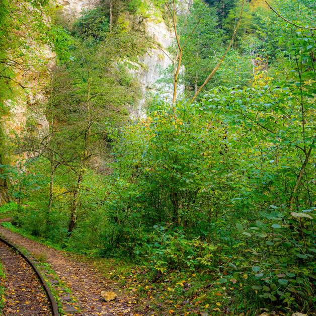 Иконка канала Хочу все знать