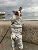 Иконка канала Алиса_Тика