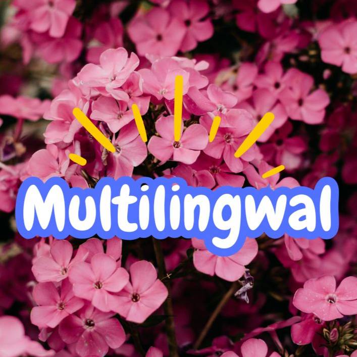 Иконка канала Multilingwal