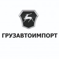 Иконка канала Грузавтоимпорт г. Пермь
