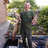 Иконка канала Анатолий Клычников/ДендробенаВенета из Сталинграда