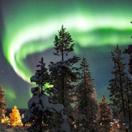 Иконка канала MCgameStreamer