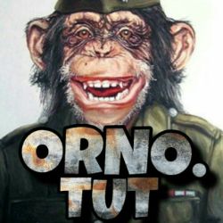 Иконка канала orno.tut