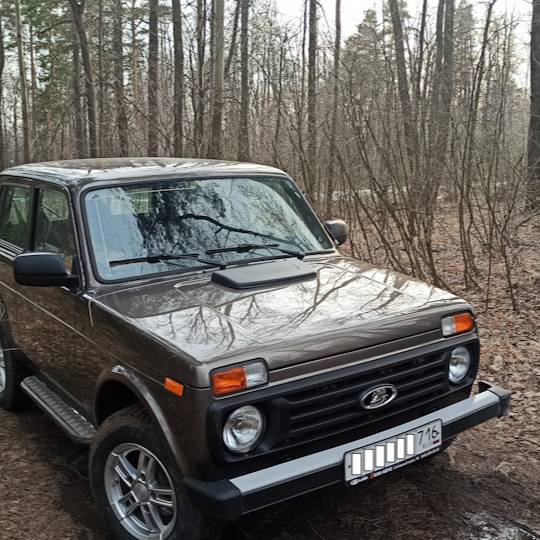 Иконка канала Нива это маленькая жизнь