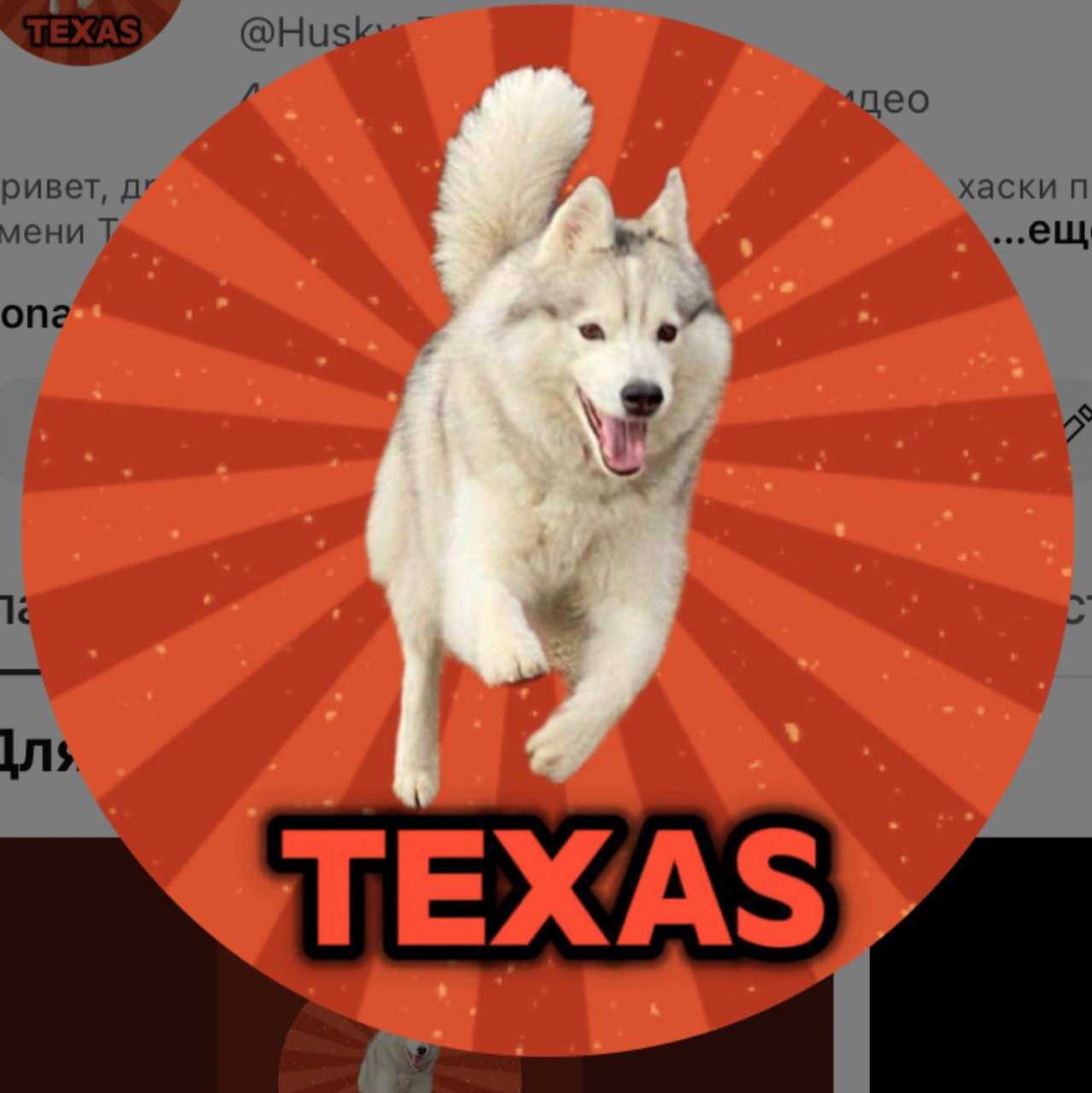Иконка канала Сибирский хаски Техаs