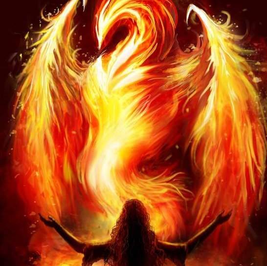 Иконка канала Lapo-chek