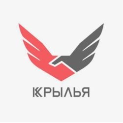 Иконка канала Крылья Капитал