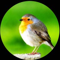 Иконка канала Жаннета Шевченко и метод регресса РОДНИК