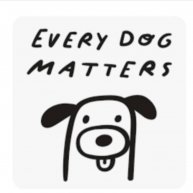 Иконка канала Every Dog Metters