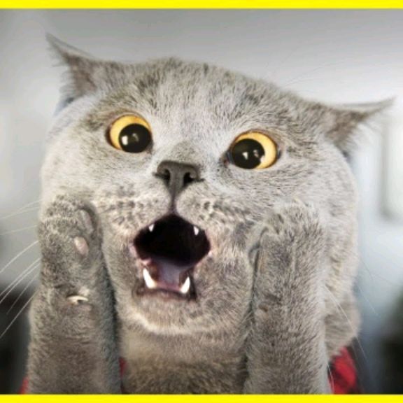 Иконка канала Ларин Владислав