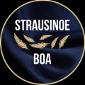 Иконка канала STRAUSINOE_BOA