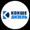 Иконка канала Кокше Дизель