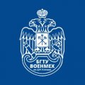 Иконка канала БГТУ «ВОЕНМЕХ» им. Д.Ф. Устинова