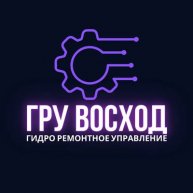 Иконка канала ГРУ ВОСХОД