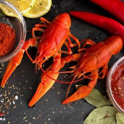 Иконка канала Живые раки Москва