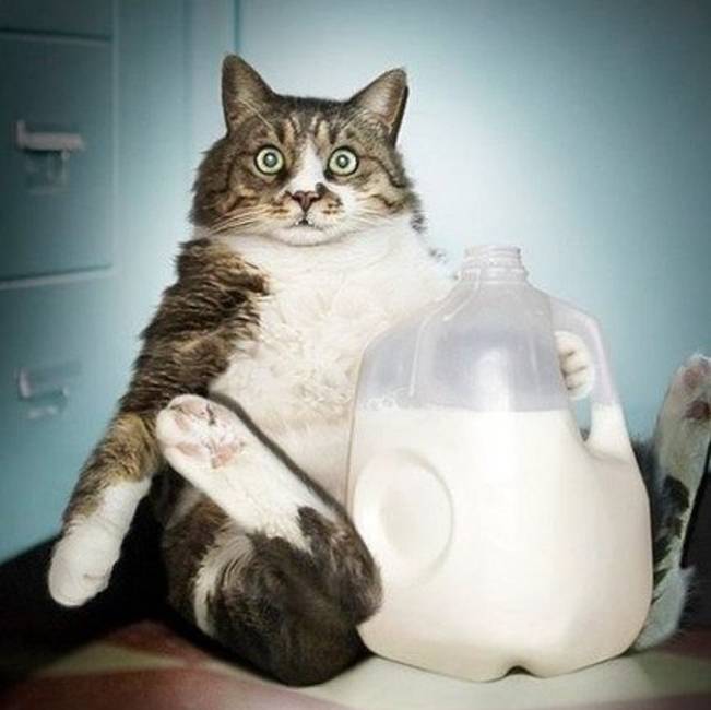 Иконка канала #Cosmos