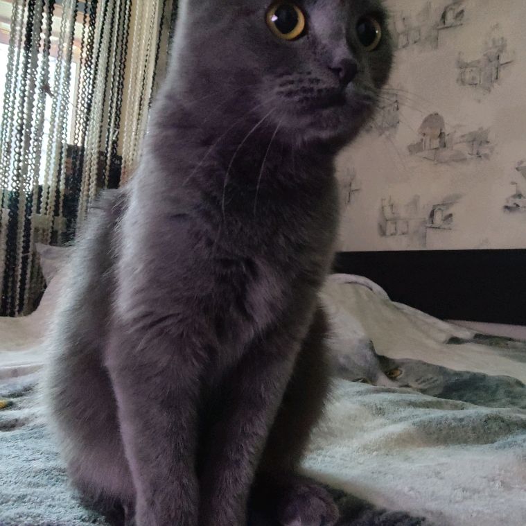 Иконка канала Игры