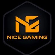Иконка канала NiceGaming