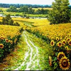 Иконка канала channel51331666