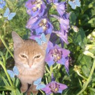 Иконка канала УникальнаяЛюбава Наша планета жемчужина вселенной!