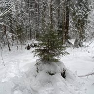 Иконка канала DenBan4