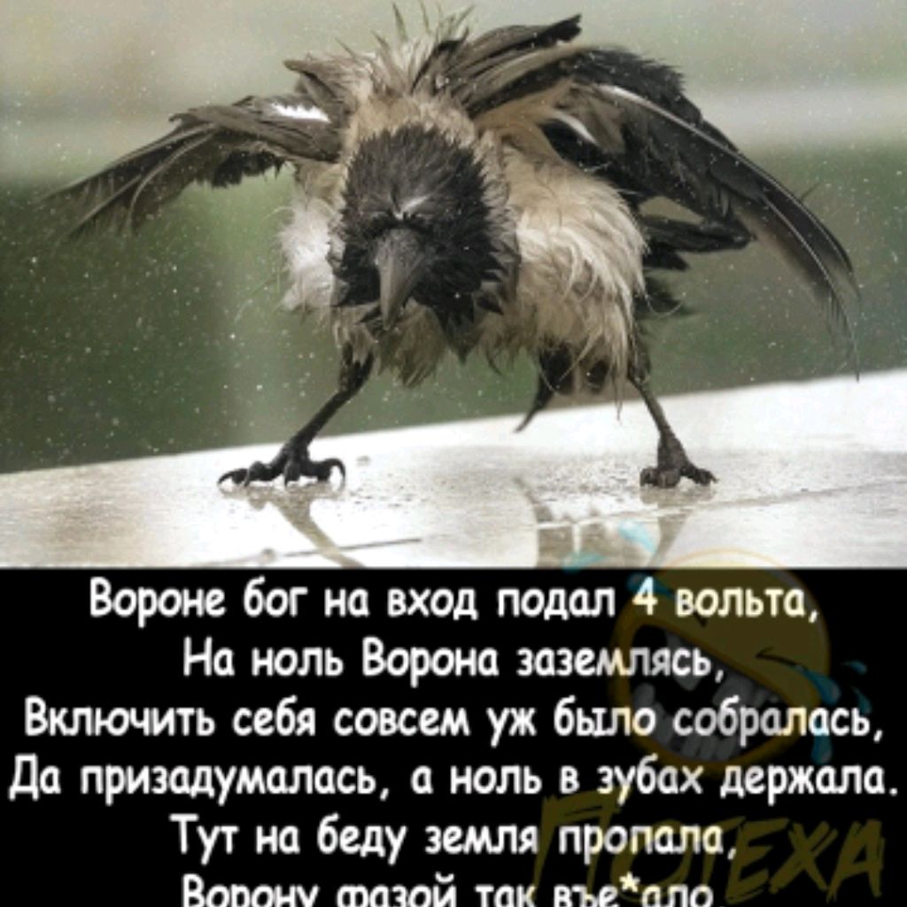 Иконка канала Телега ЛПХ родники