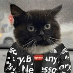 Иконка канала О том.