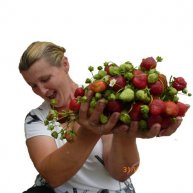 Иконка канала Оксана - Ягодный Микс