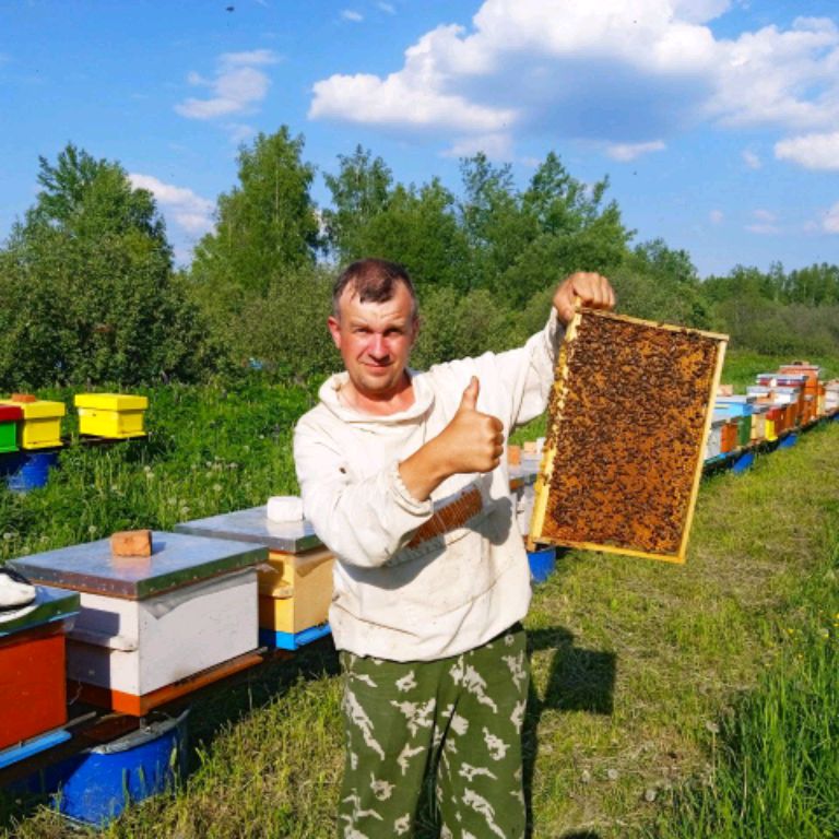 Иконка канала Пасека Ишутиных-пчеловодство для всех