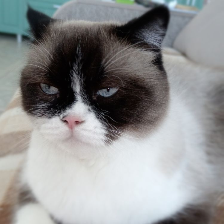 Иконка канала Канал 102