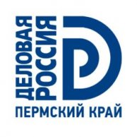 Иконка канала Деловая Россия Пермский край