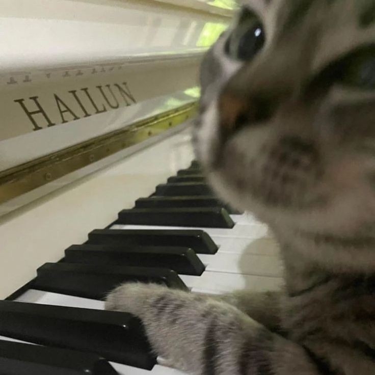 Иконка канала ♪ With love music ♪