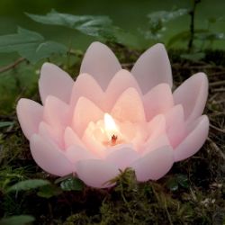 Иконка канала Дары Лады