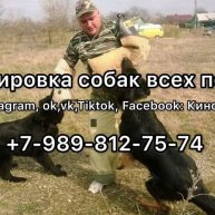 Иконка канала Кинолог Славик! 🇷🇺 Слава России 🇷🇺 !