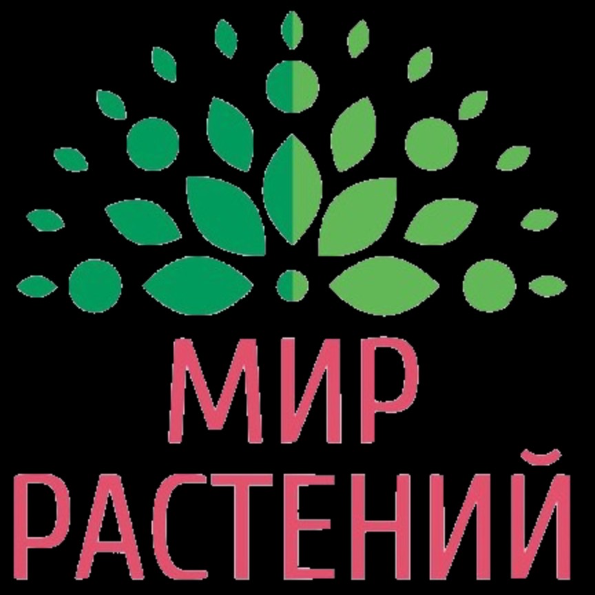 Иконка канала Питомник "Мир Растений" mir-rast.ru
