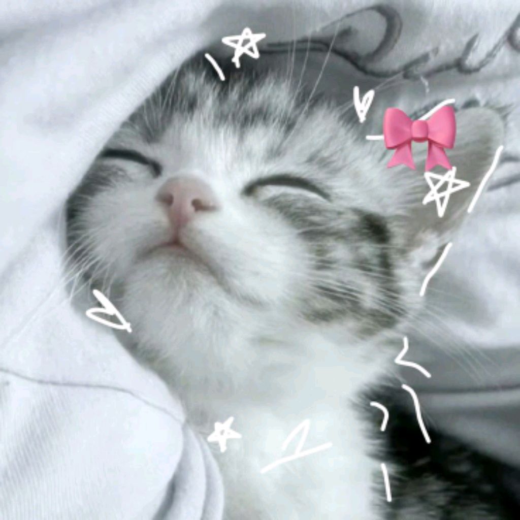 Иконка канала 🧸💗Бумажные Сюрпризы💗🧸
