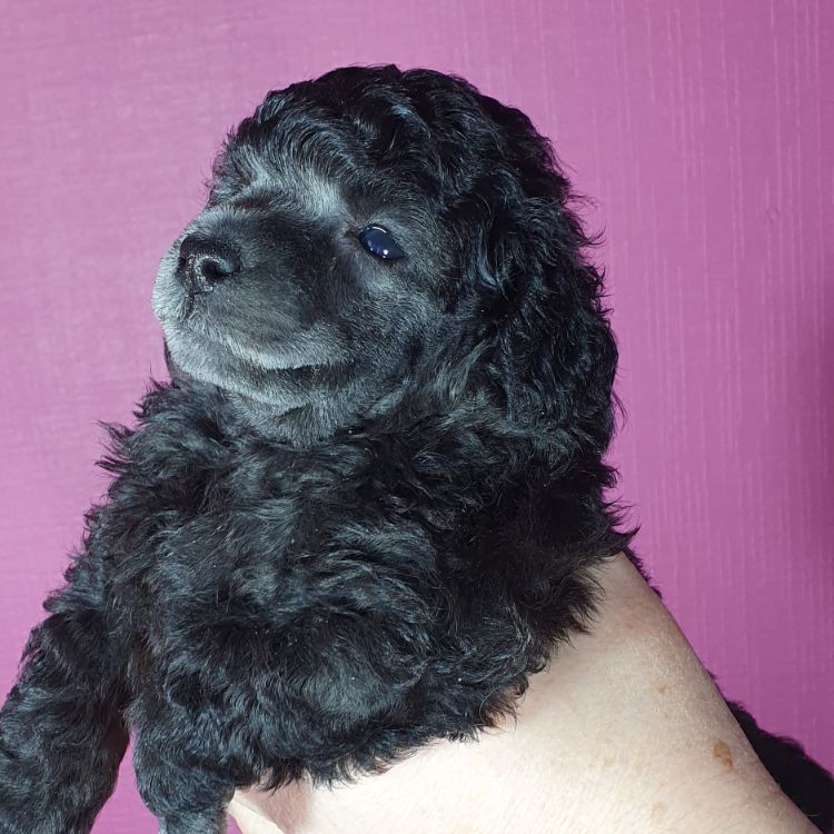 Иконка канала channel32433070