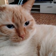 Иконка канала Сонечка