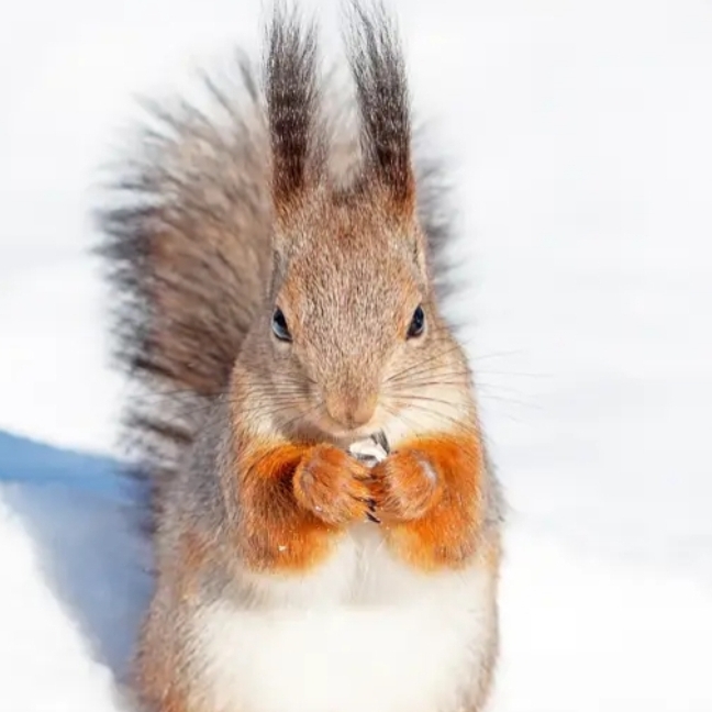 Иконка канала Арина Ануфриева..