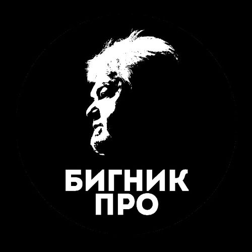 Иконка канала БИГНИК_ПРО