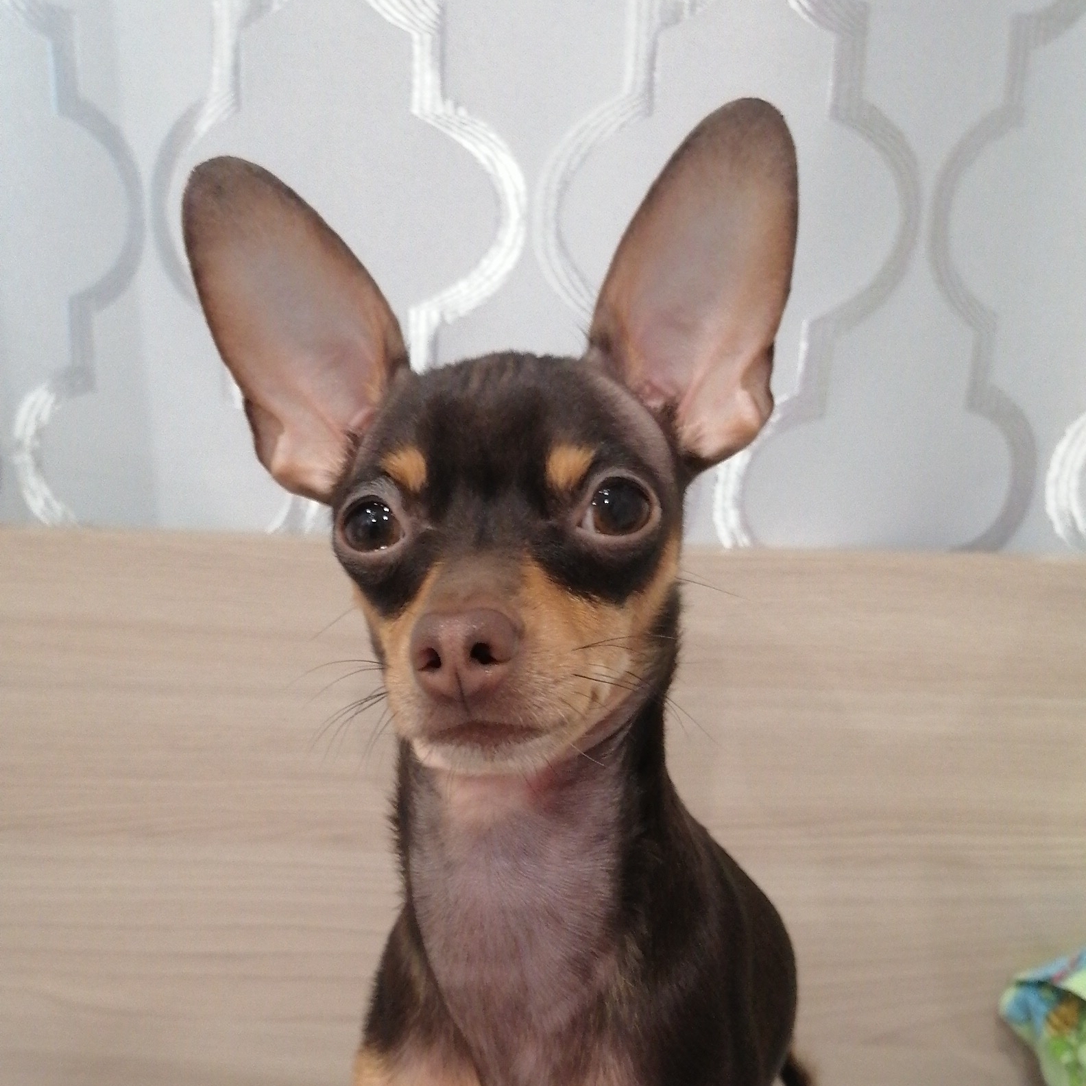 Иконка канала Люблю бублики!