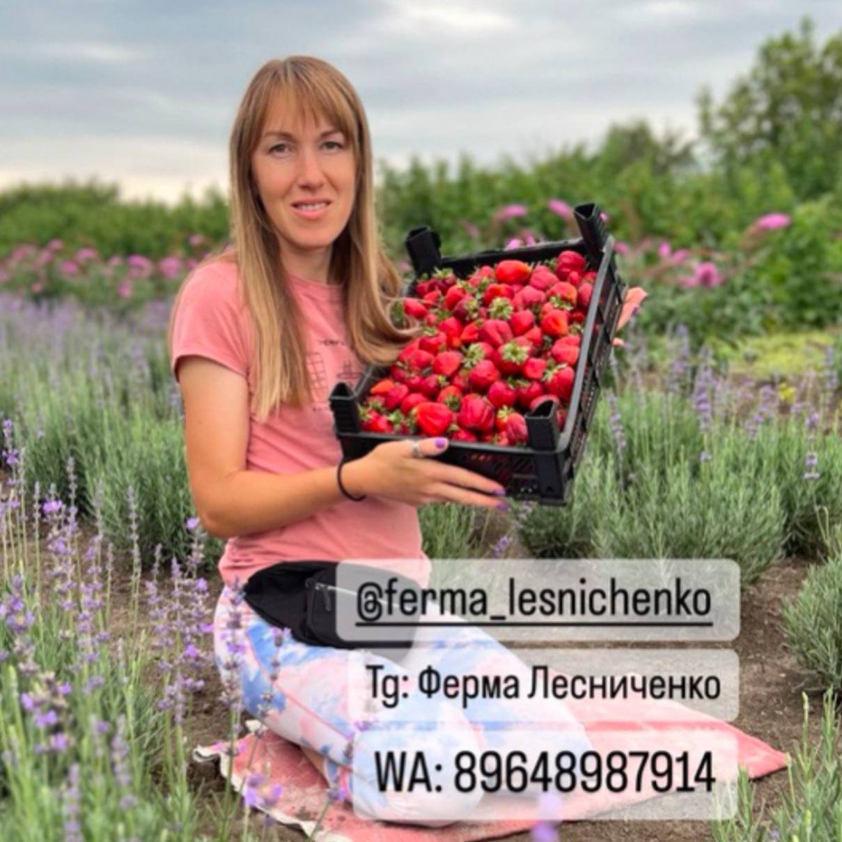 Иконка канала Ферма Лесниченко - ягодный питомник.