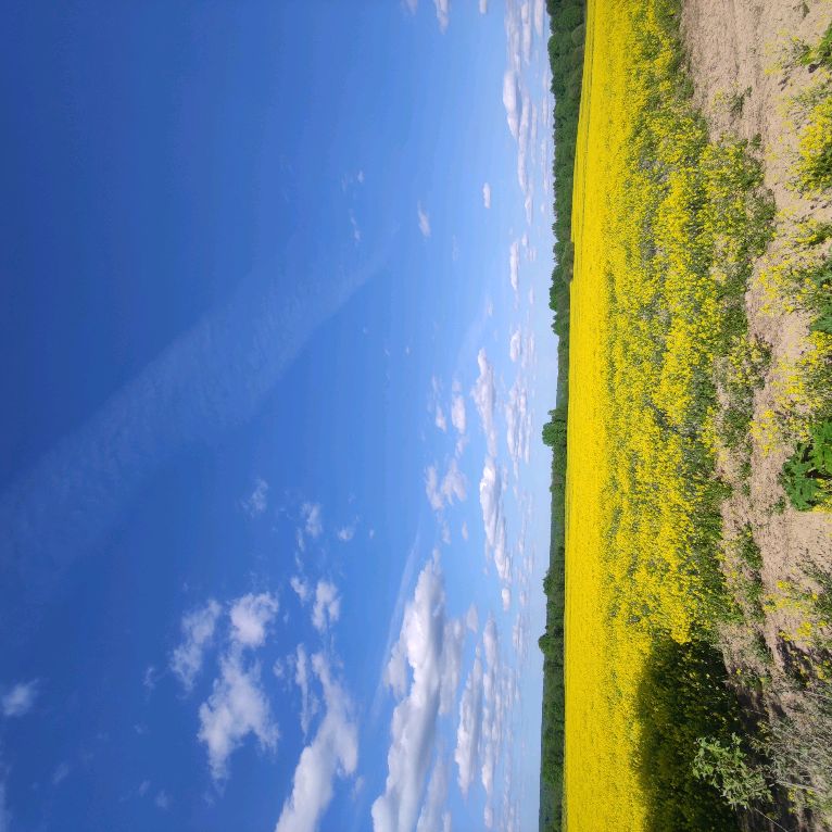 Иконка канала Дядя Ваня