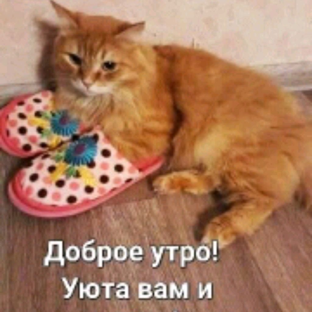 Иконка канала Difok