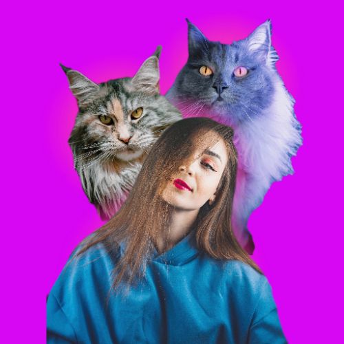 Иконка канала КотоПёся