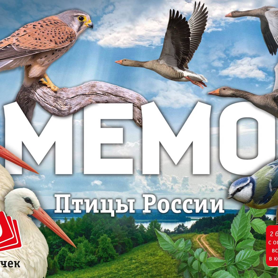 Иконка канала Мемо "Птицы России"