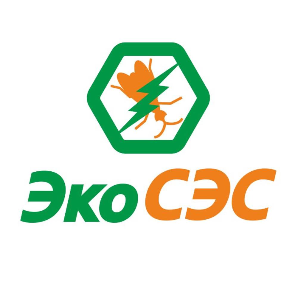 Иконка канала eccoses.ru