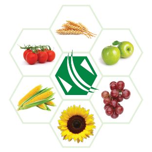 Иконка канала Биопрепарат