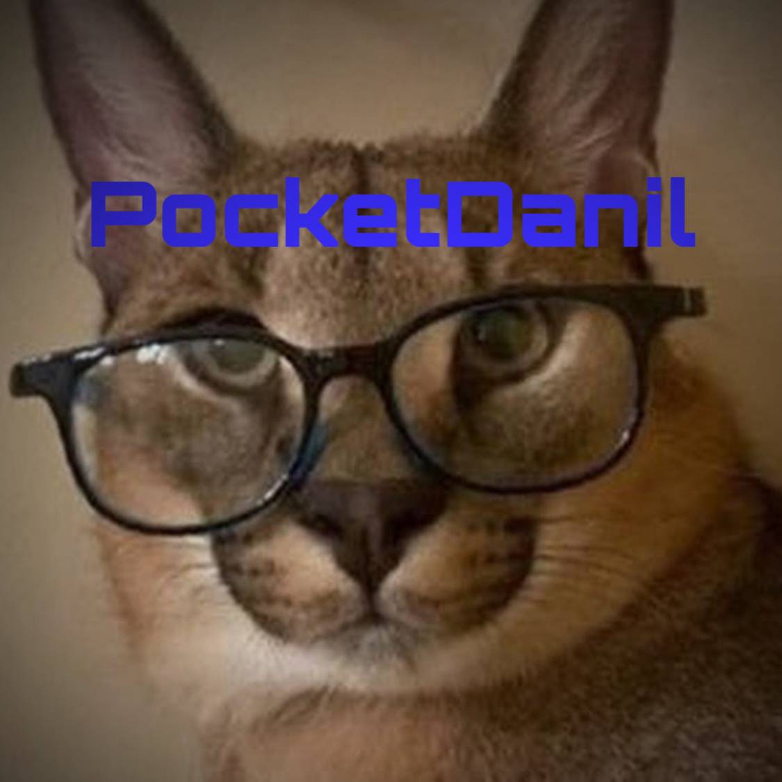 Иконка канала PocketDanil