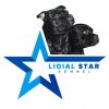 Иконка канала Lidial Star